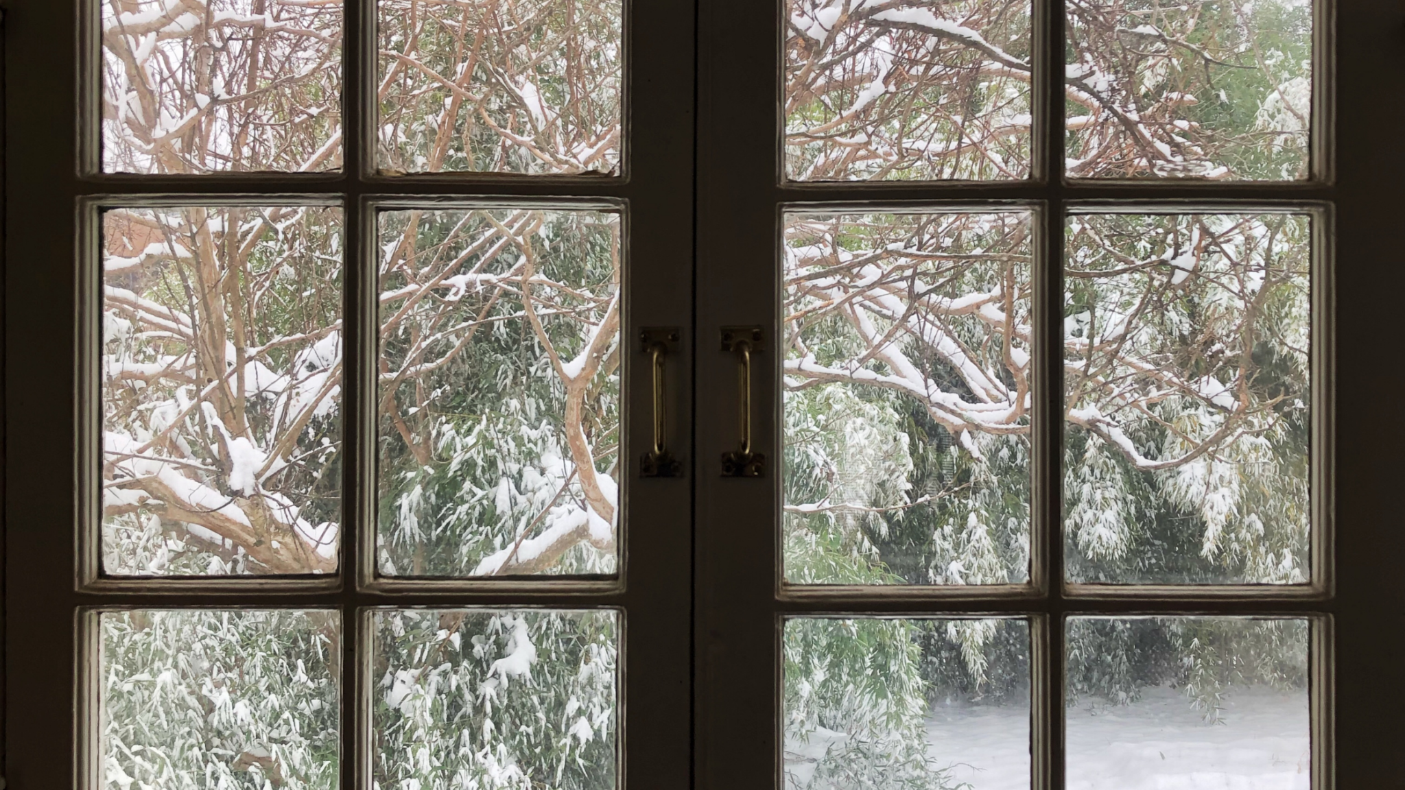 Top Window Lead Generators: Your Guide to Home Renovation - Cost Guide